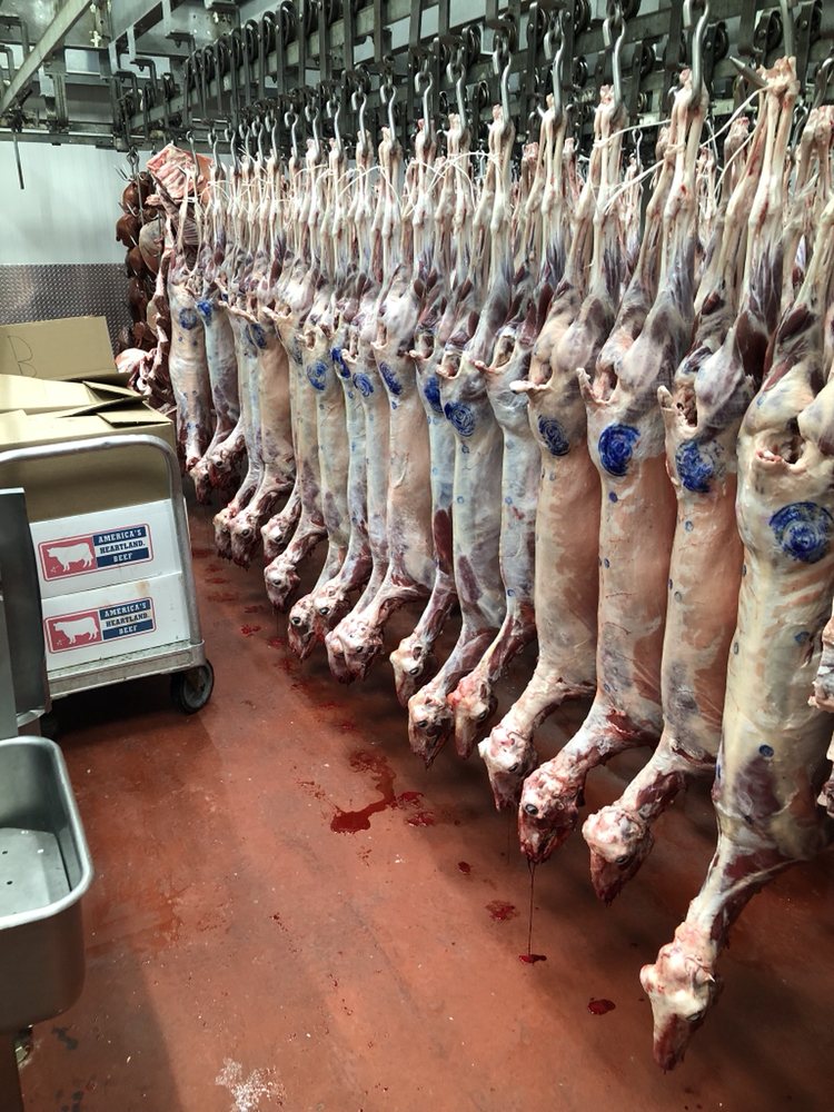 Gallery - #1 Best Finest Halal Meat Provider